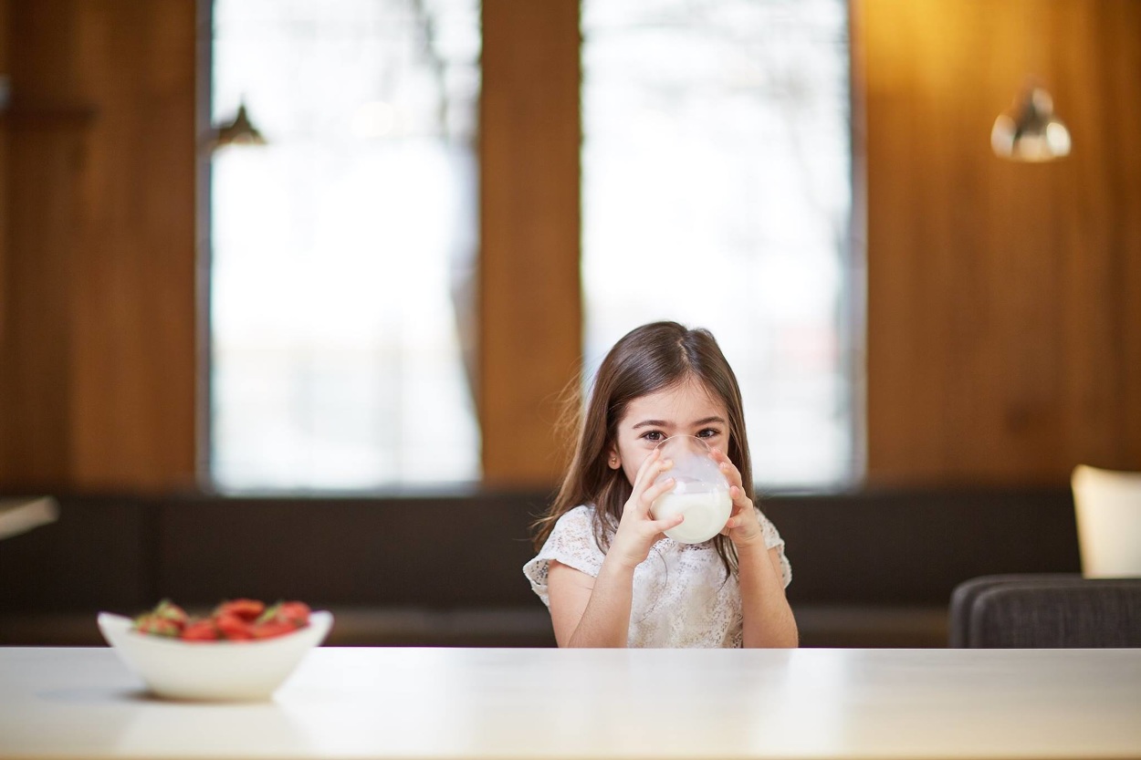 Bouffe - jfhoude.com