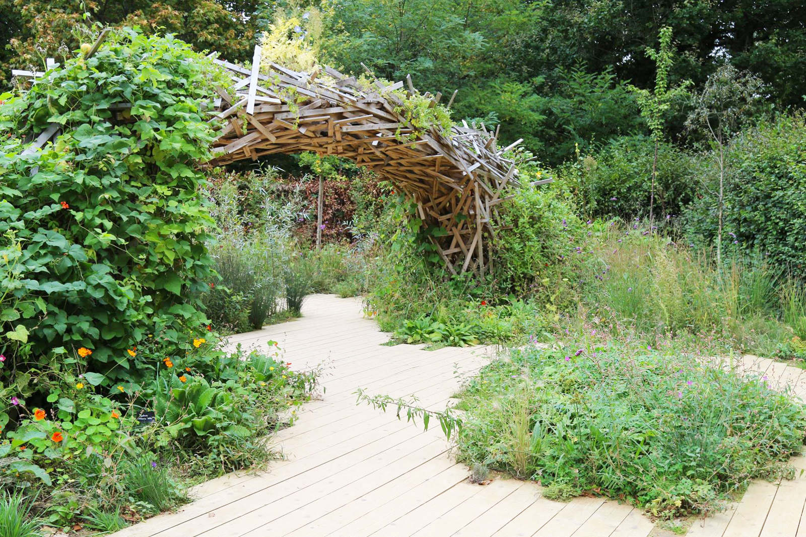 EXPLOSIVE NATURE - Marguerite Ribstein Paysagiste