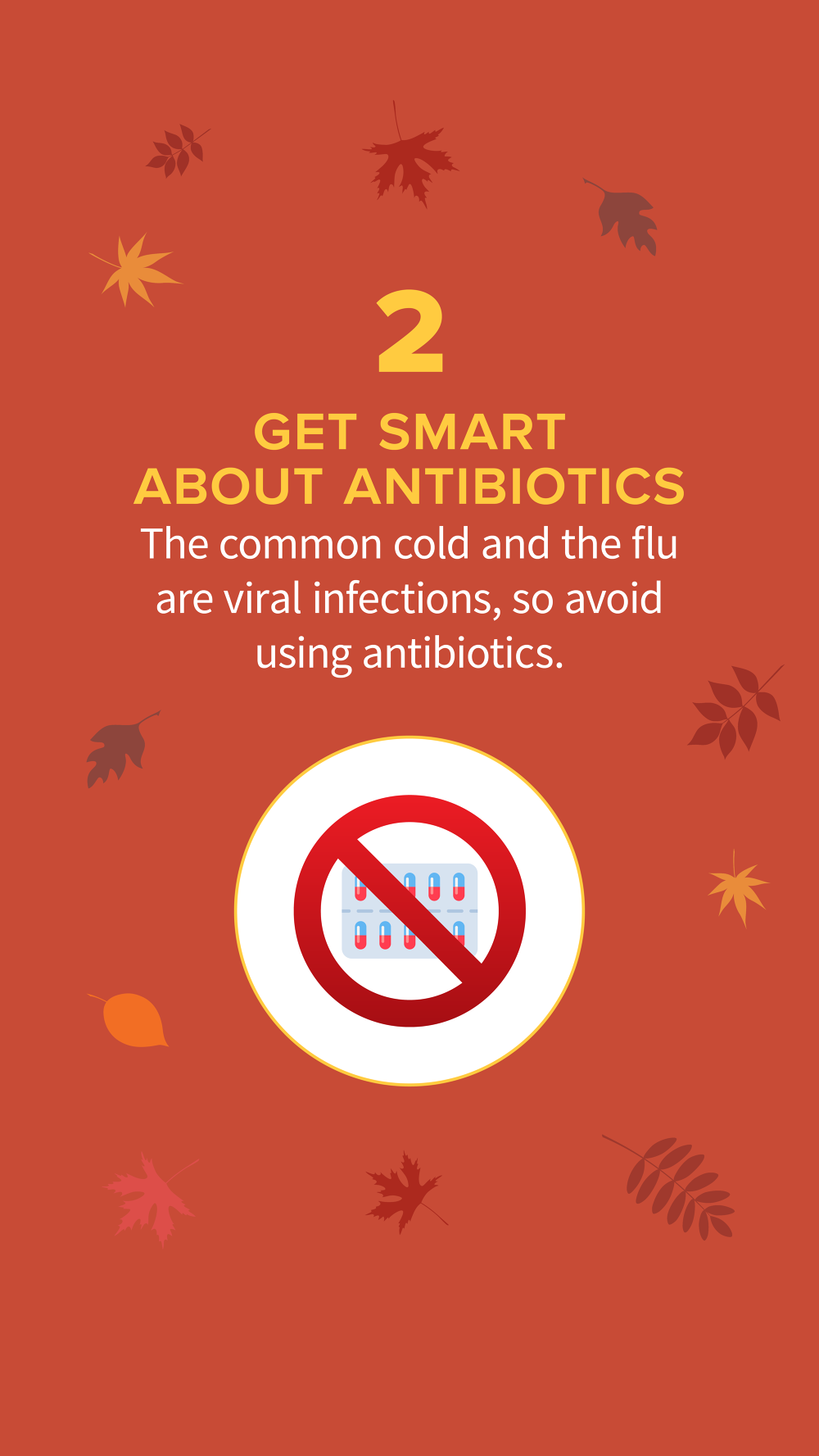 Healthy Autumn Tips - Elizabeth Porter Design