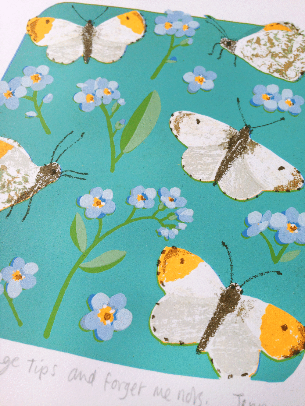 Orange Tips and forget me nots - Jenny Seddon