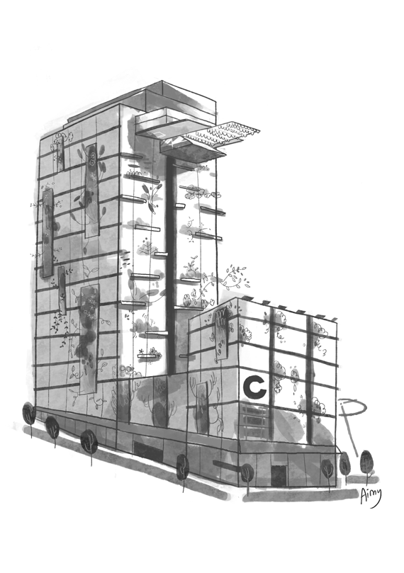 Honi Soit Illustrations - Aimy Nguyen