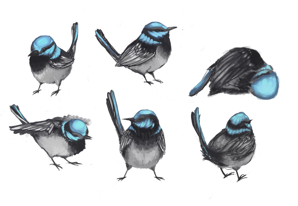 Illustrations & Paintings - Aimy Nguyen