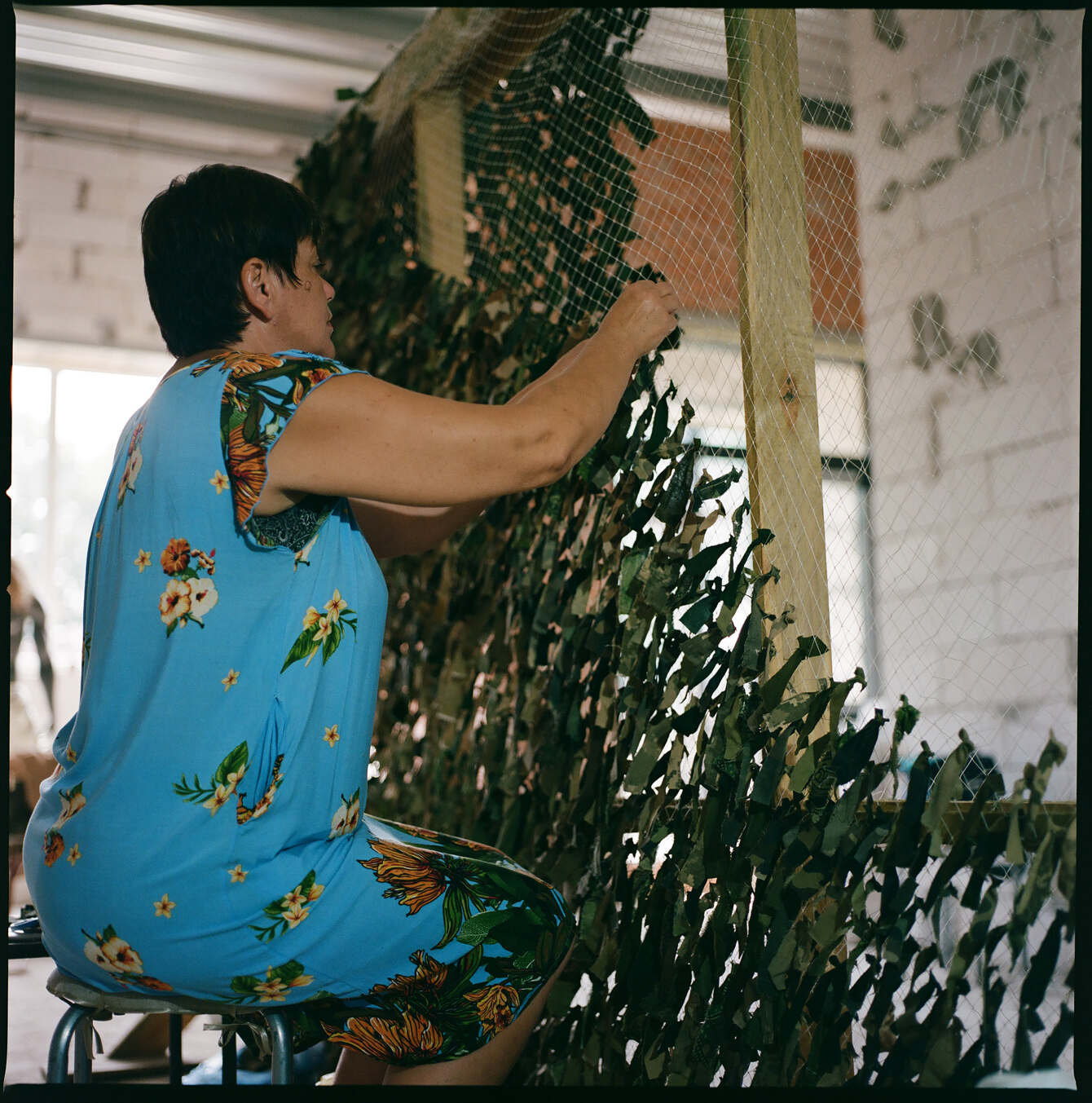 BROKEN TREES - vic bakin