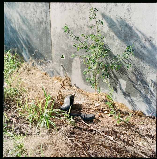 BROKEN TREES - vic bakin