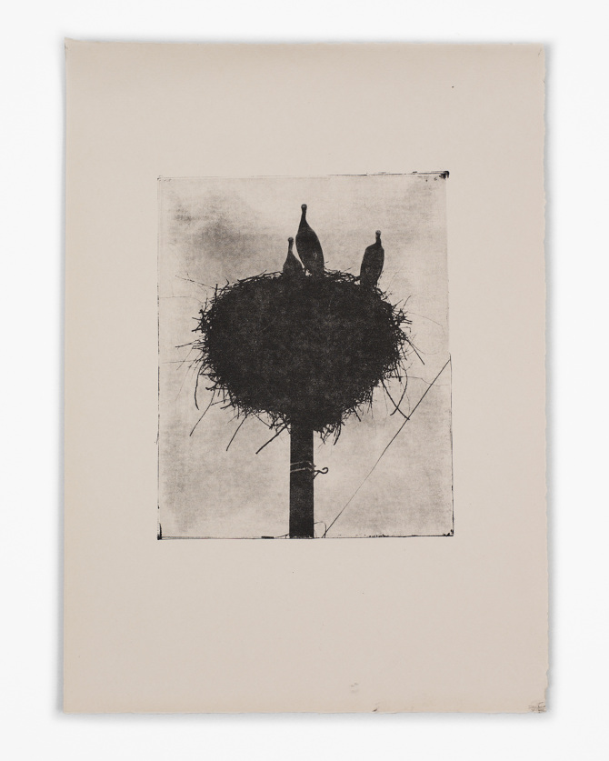 LITHO PRINT SALE - vic bakin