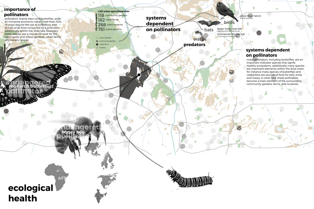 EXPLORATIONS IN LANDSCAPE + ECOLOGICAL DESIGN - Exploratory Process