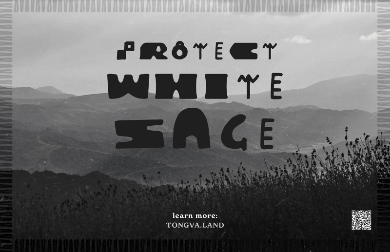 Tongva Times: Font Design - Robbie Wenger