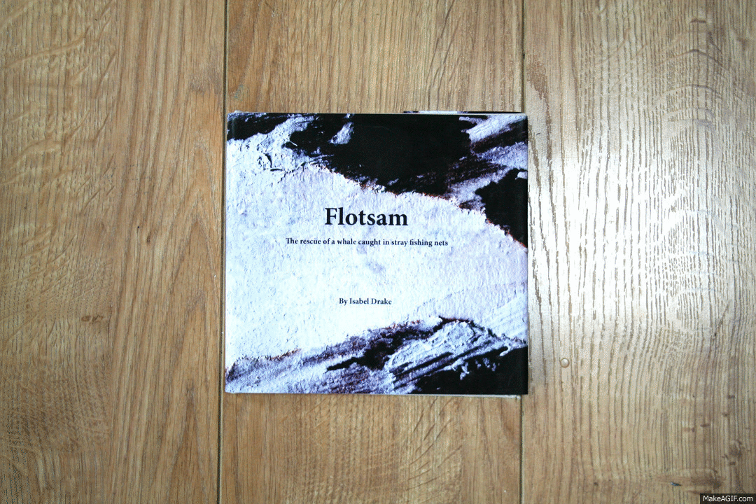 Flotsam Book - Isabel Drake