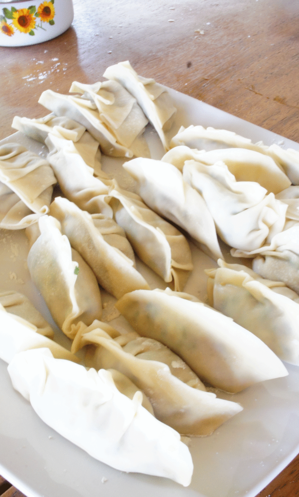 Gyoza-Blitz - The Midweek Vegetarian