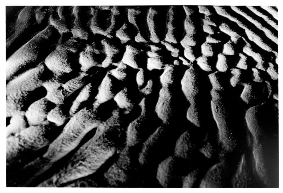 Surreal Photography - Benjamin B. Neate