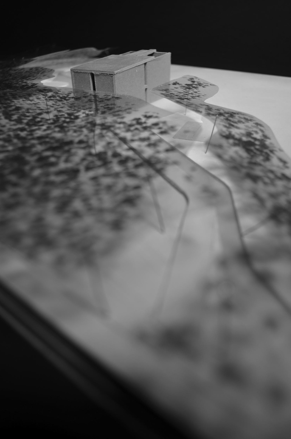 SMALL SCALE PROJECTS - Cecilia Hui