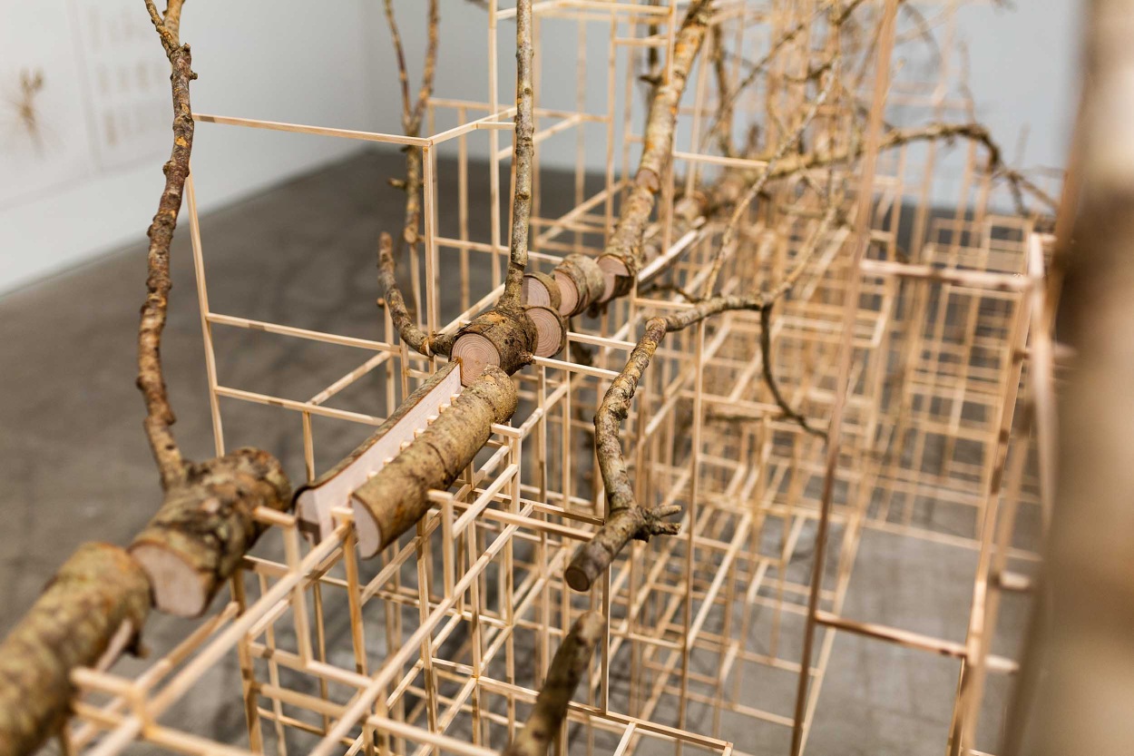 Fallen tree and Monocultures - Rodrigo Arteaga