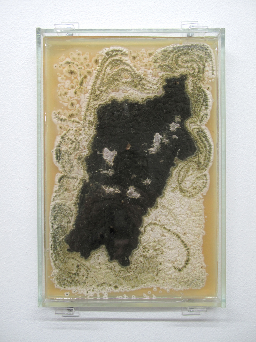 Regionalized Atlas of Chile - Rodrigo Arteaga