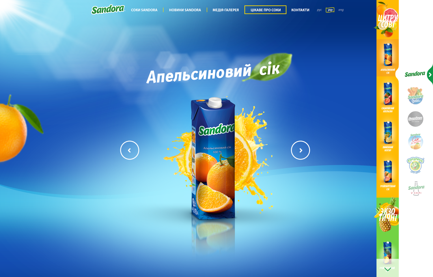 Sandora Web Site Design - mike_kor