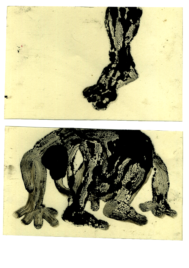 Savon Marc - Brice DUMAS