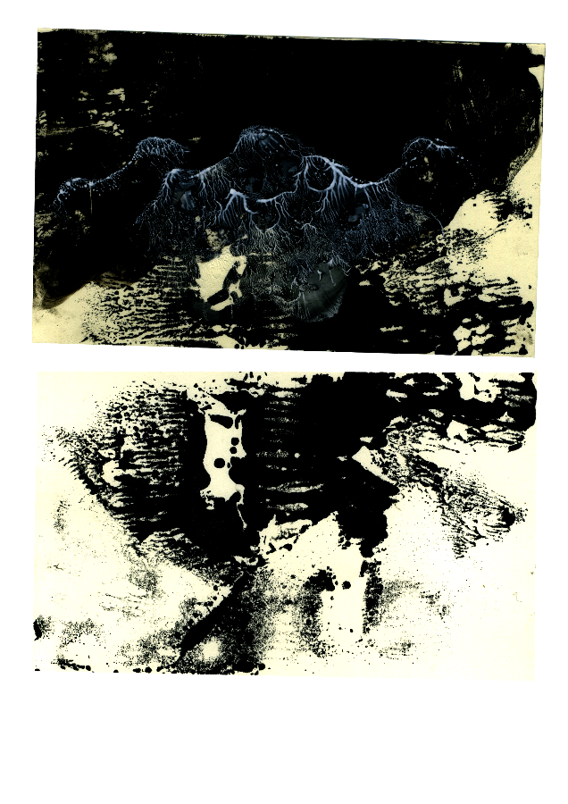 Savon Marc - Brice DUMAS