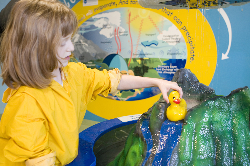 WOW! the wonders of water exhibit - Sara Hampt