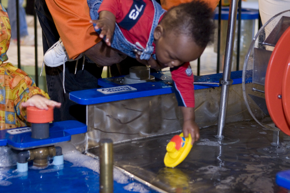 WOW! the wonders of water exhibit - Sara Hampt