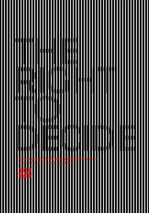 Sha Feng - The Right to Decide exhibition