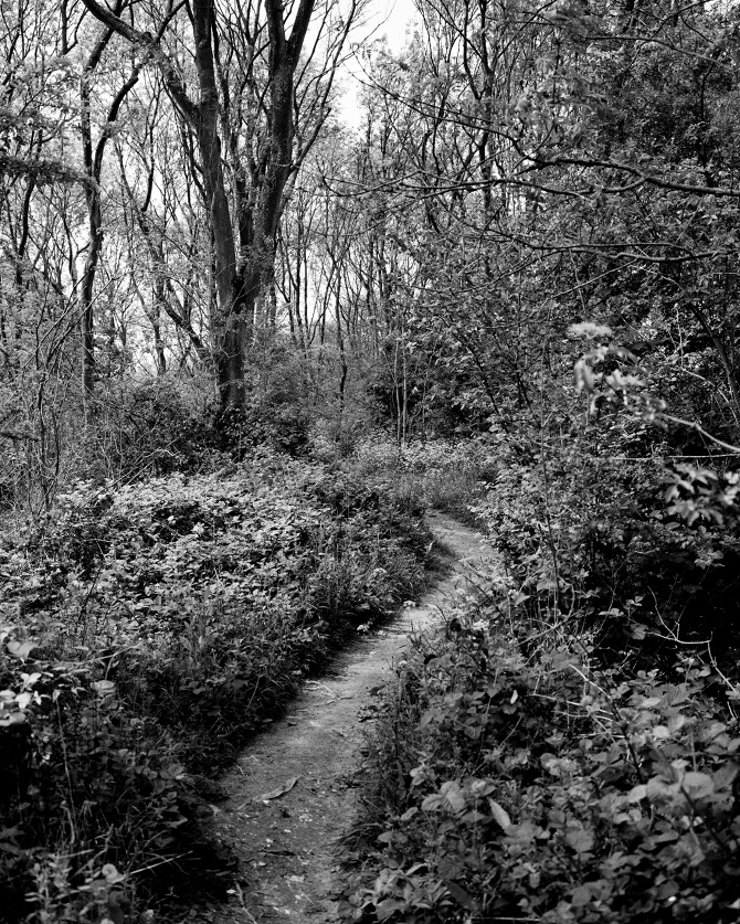 Grim's Ditch - searching for Odin - SEAN WYATT