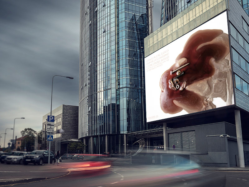 Deforestation Awareness Campaign | Creative Conscience - WONG CHING TING