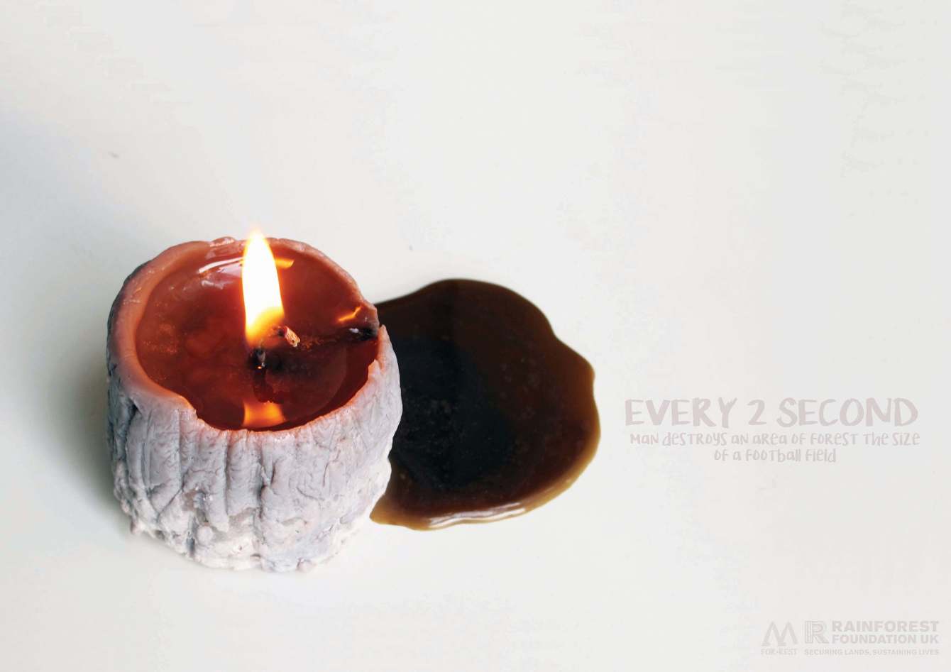 Deforestation Awareness Campaign | Creative Conscience - WONG CHING TING