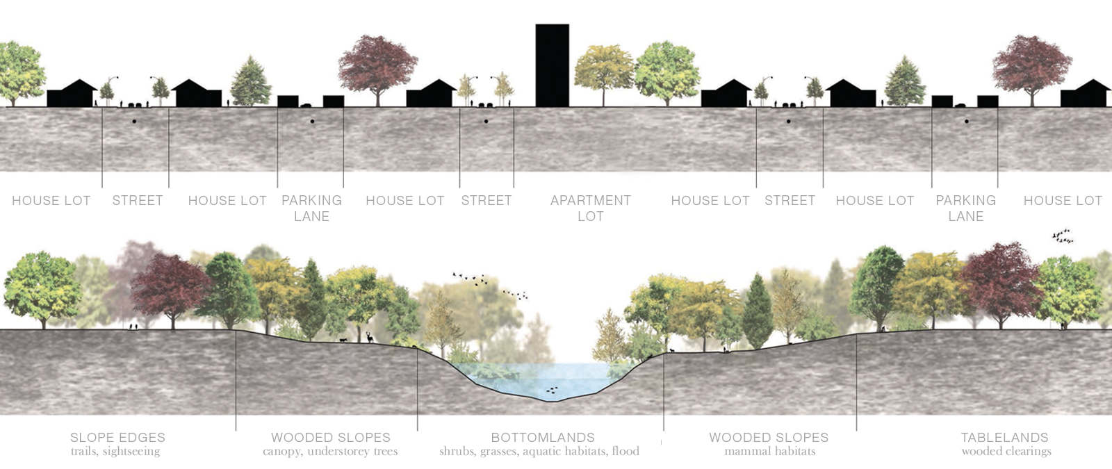 RAVINE CITY - Elaine Chau
