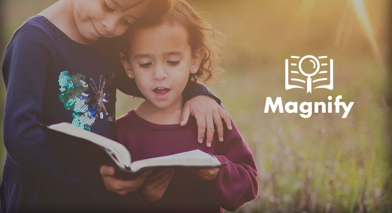 Magnify Logo | Branding - James Potter