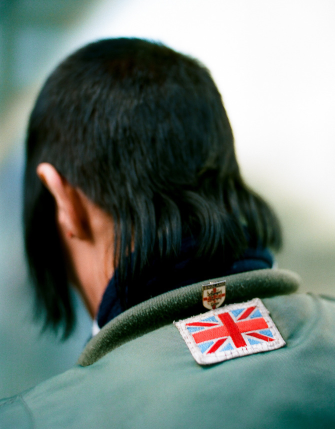 Overview - Alice Zoo