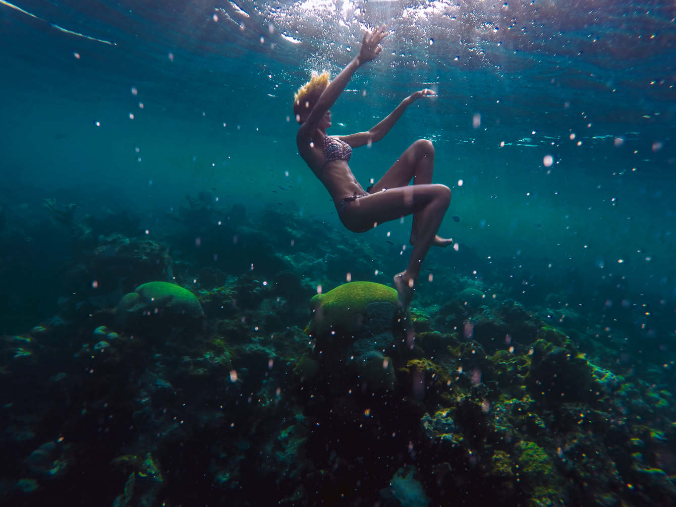 Fedor Shmidt Wallpaper