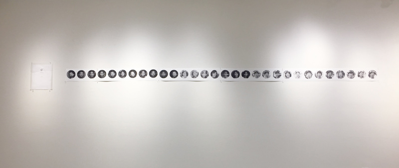 30 Days of the Lunar Cycle - NEENA WANG