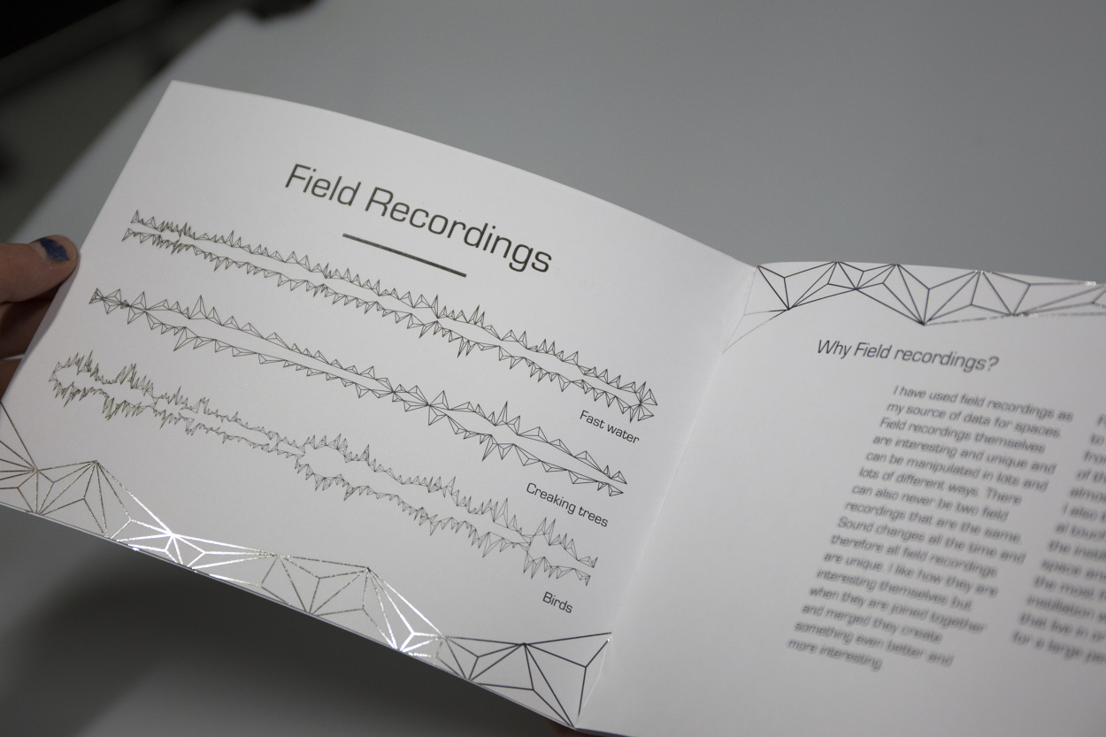 Cymatics - Hannah Broom Design