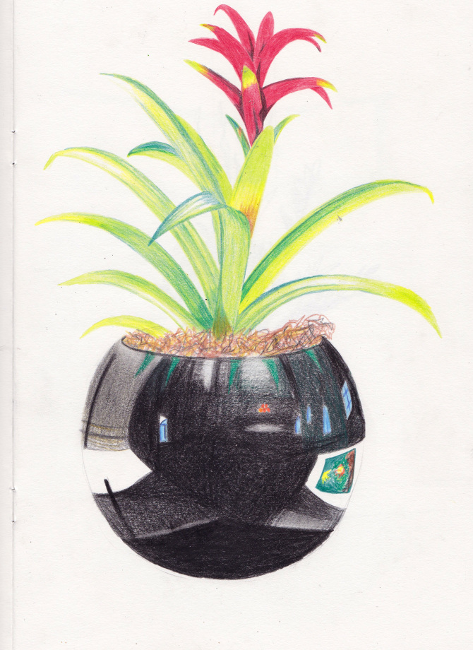 Drawing and Prints - Jake Mullins Art