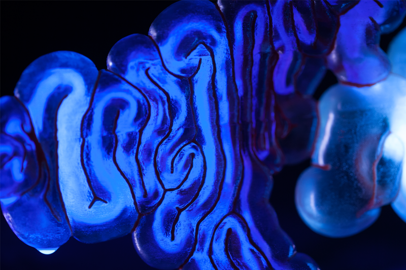 MUSHTARI - William G. Patrick