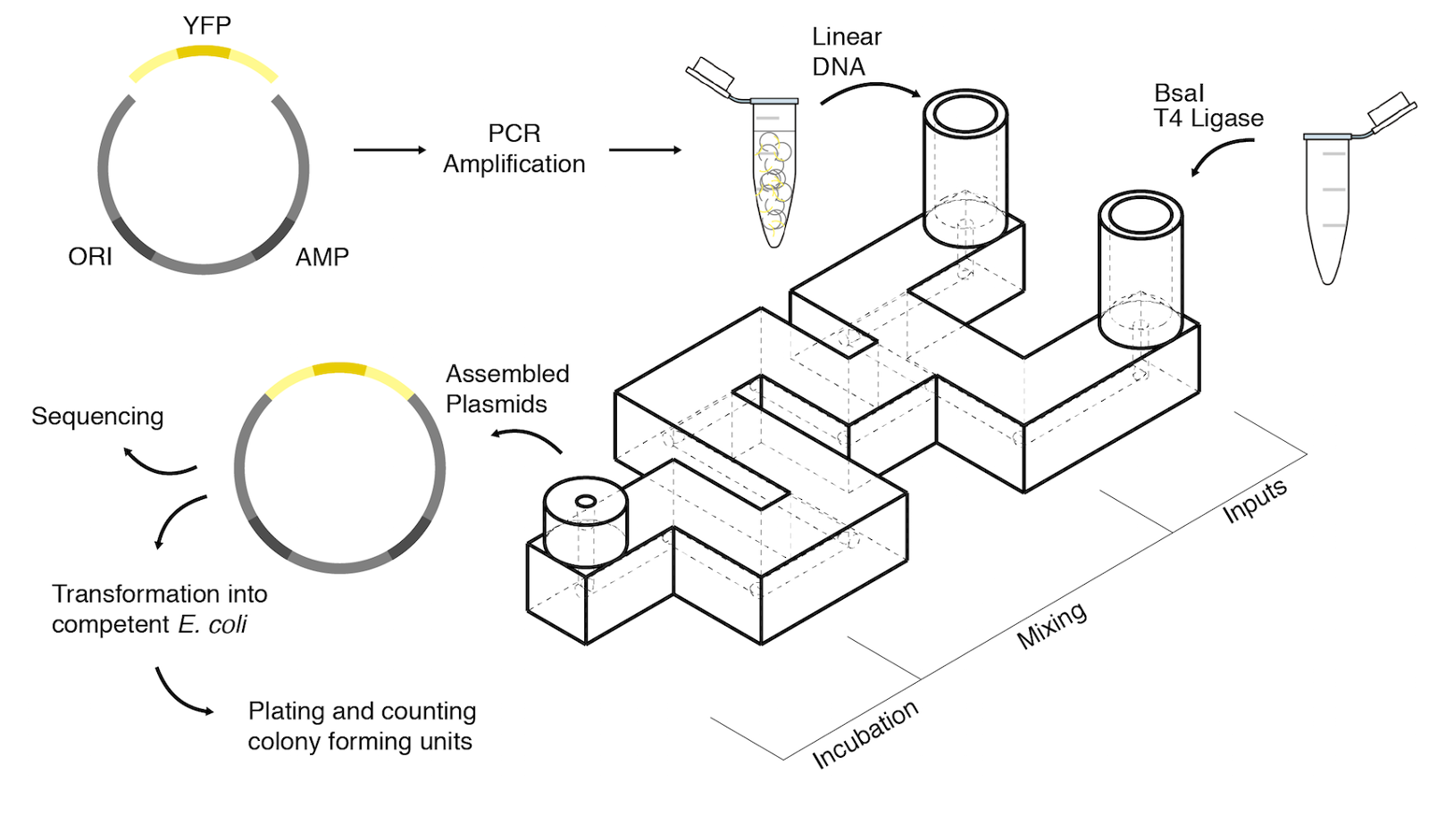 3D PRINTED MICROFLUIDICS - William G. Patrick