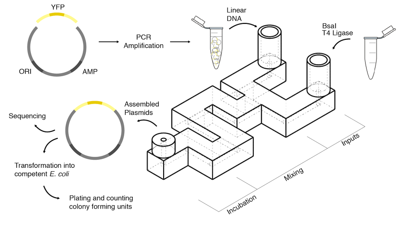 3D PRINTED MICROFLUIDICS - William G. Patrick