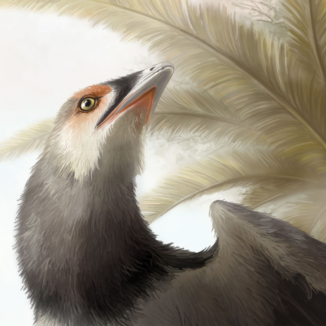 What are birds? - franz anthony