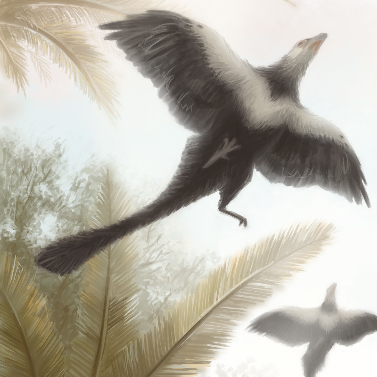 What are birds? - franz anthony