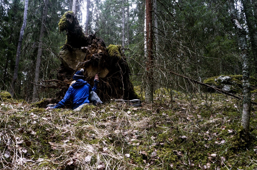 Composition Variations - www.josephinebaan.com