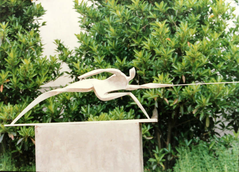 Previous Work - Henry Cao