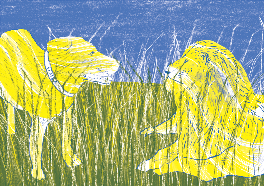 Simba and his friend - Mu Ling Illustration