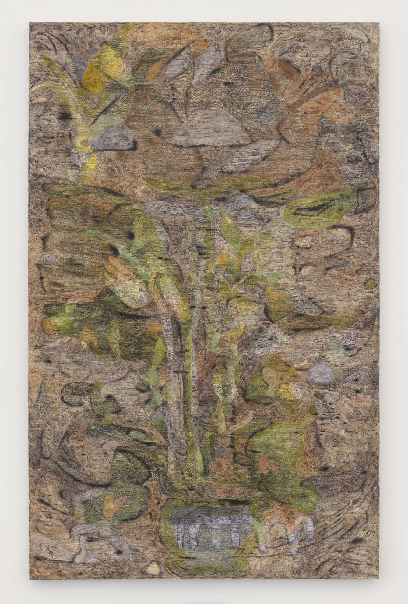 2019/20 - www.claregrill.com