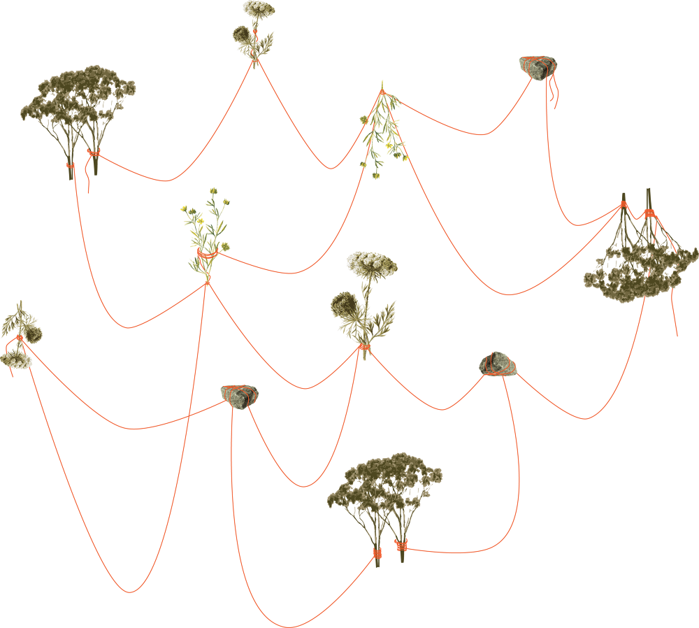 Natural Structures - CCD