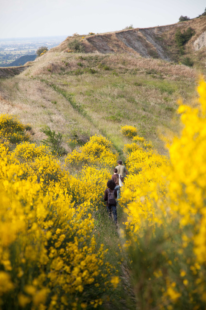 Ritratti - Anna Pavone