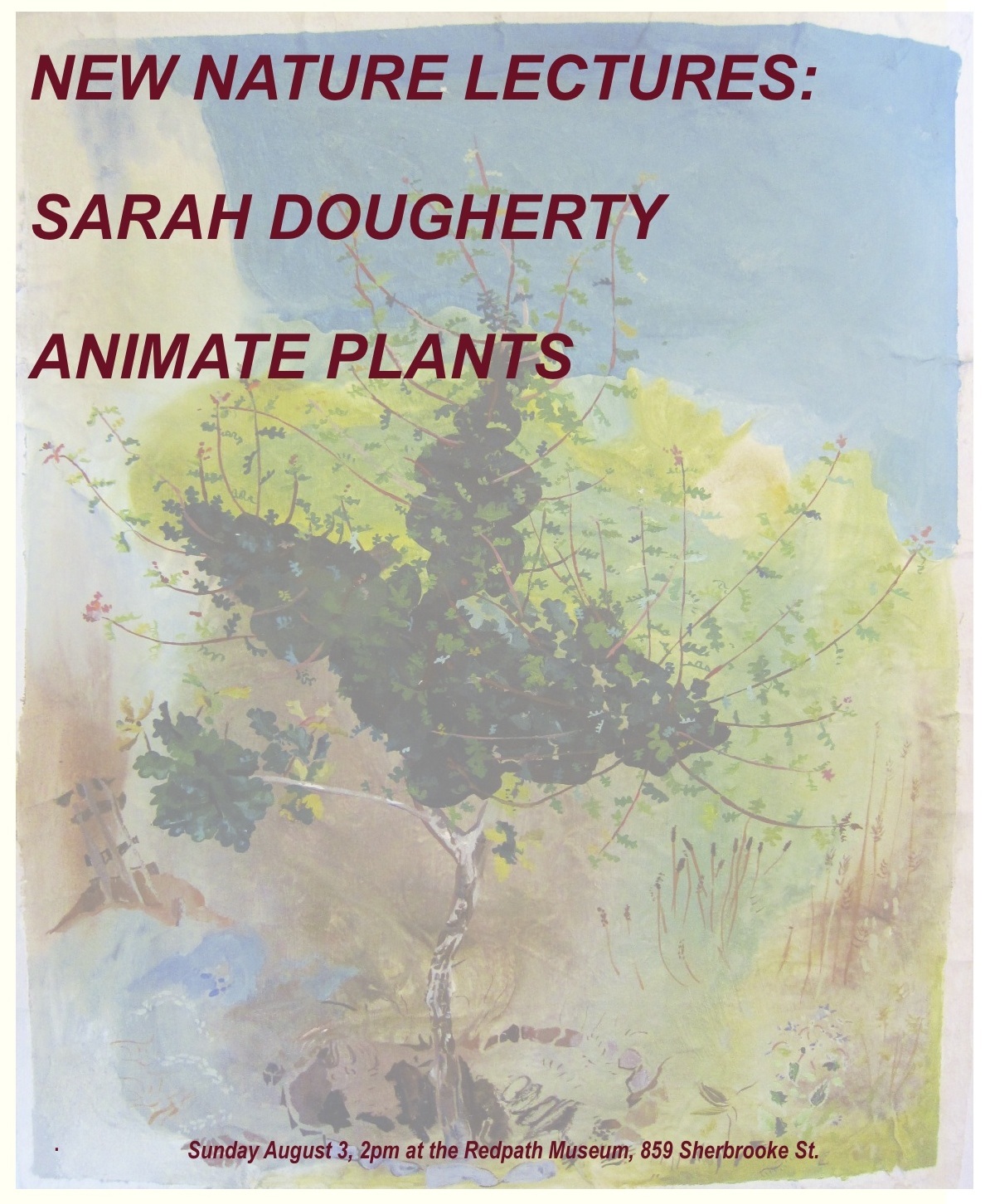 Sarah Dougherty: Animate Plants - New Nature Projects