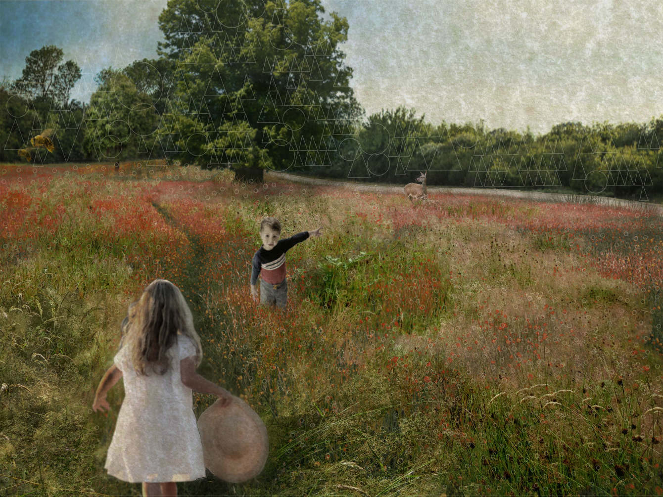 Moccas Park Masterplan - Naomi Rubbra