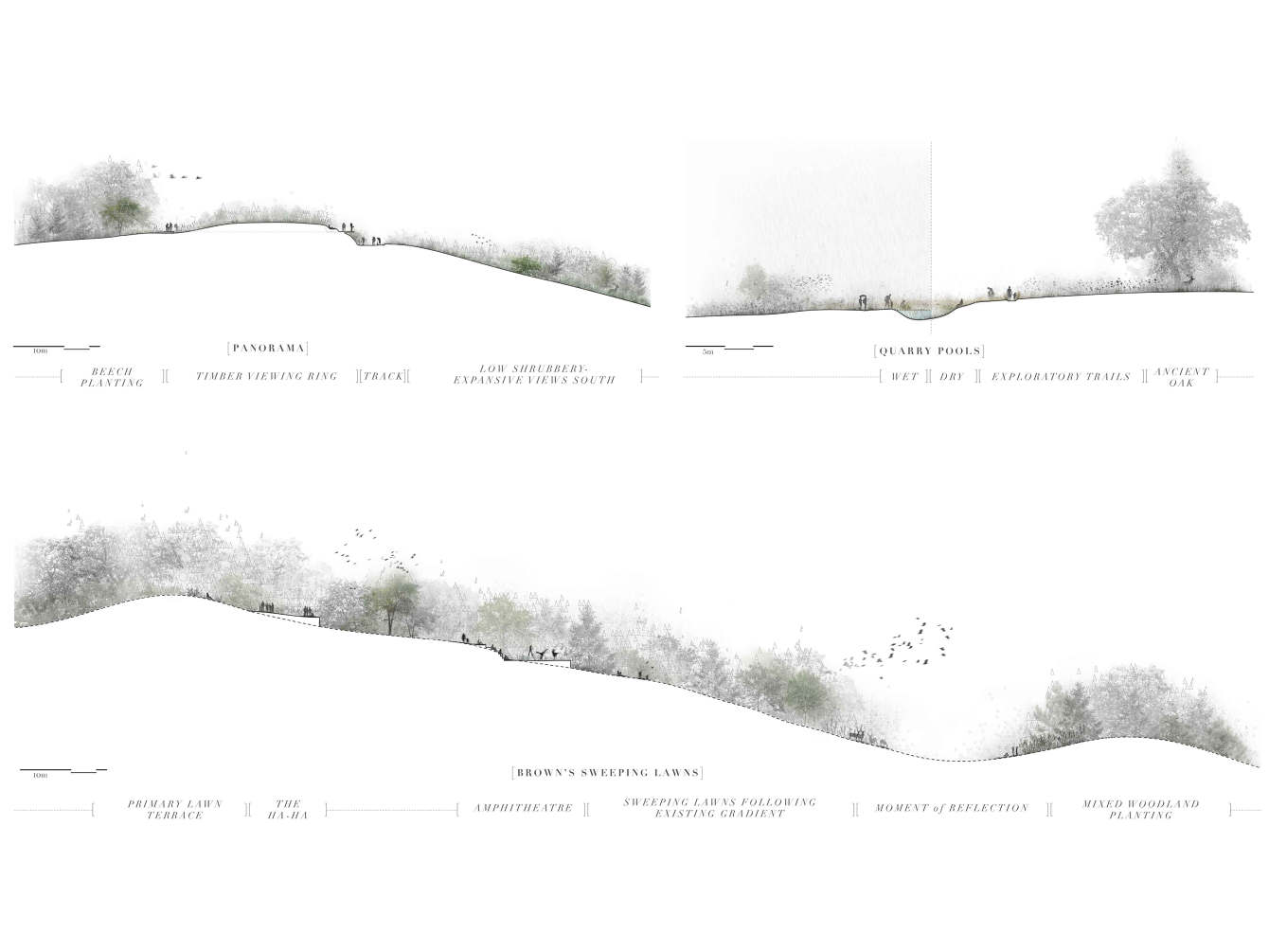Moccas Park Masterplan - Naomi Rubbra