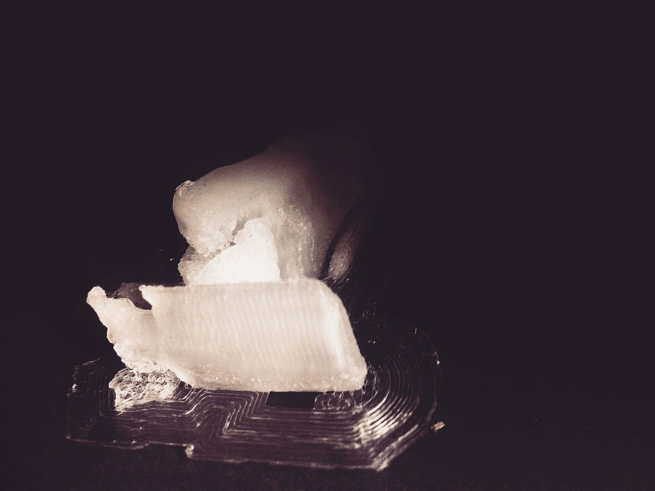 fósseis digitais [digital fossils] - ana elisa carramaschi