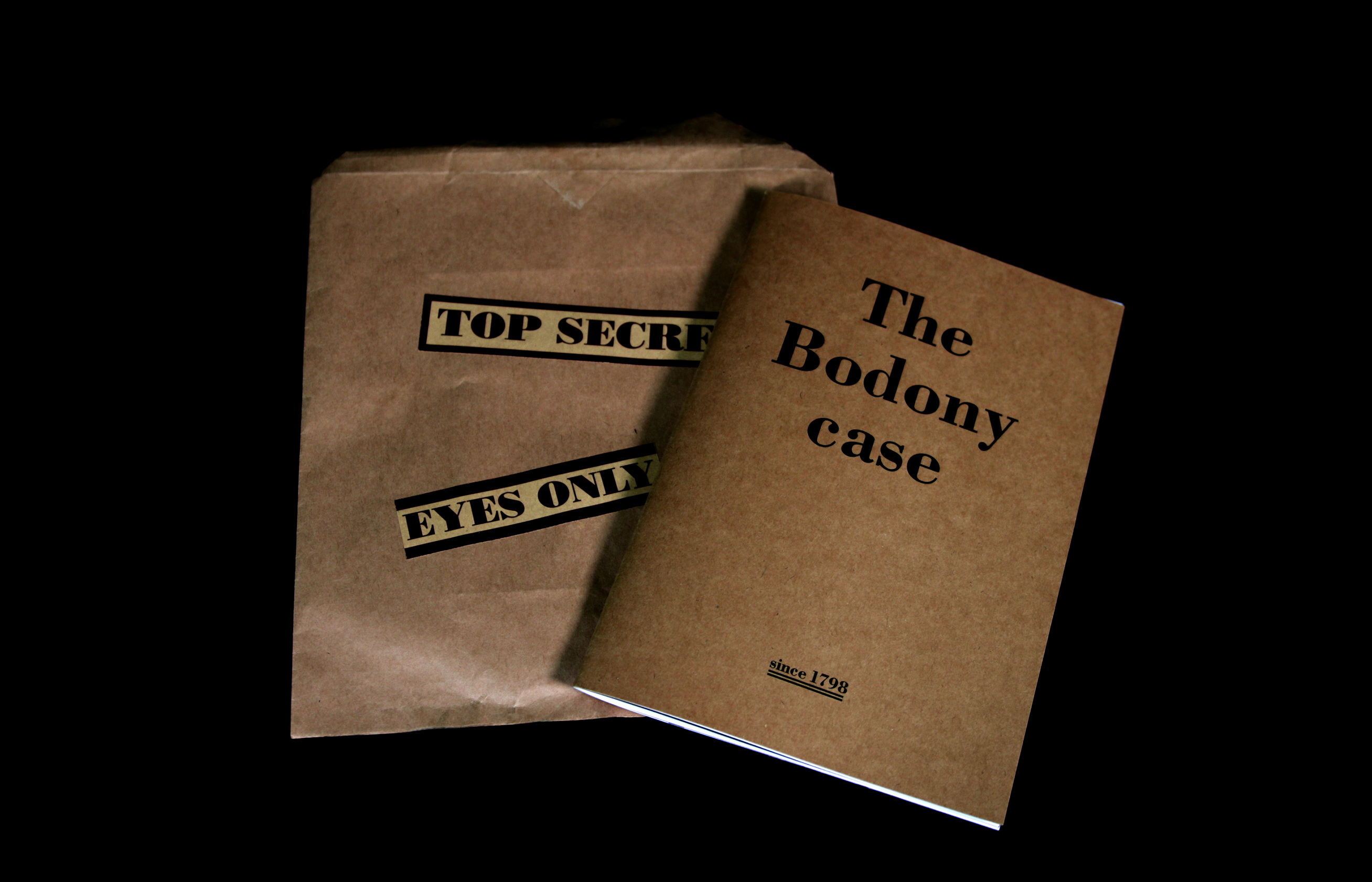 THE BODONY CASE - Tien's portfolio