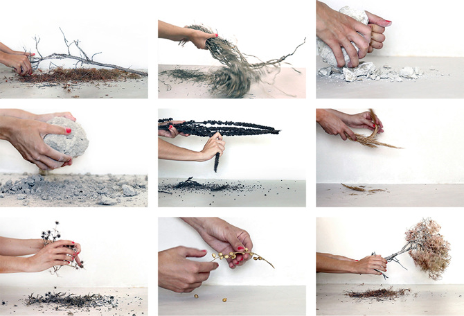 Steal Life - nanamaiolini